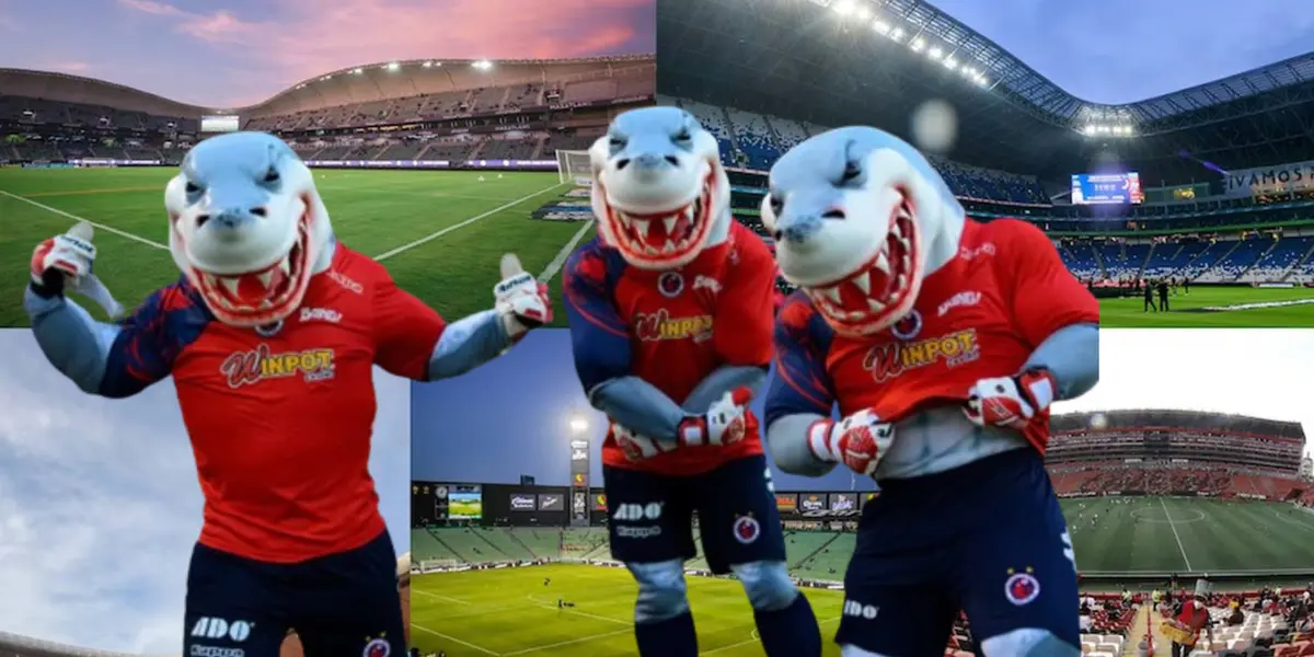 Dicen que el Tibu puede volver y así luce el estadio donde jugaría