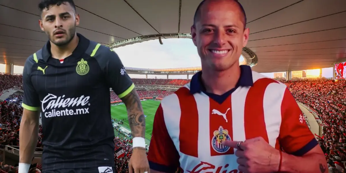 Llegó la legumbre y todos quieren Chicharito, el temible plan de Vega ...
