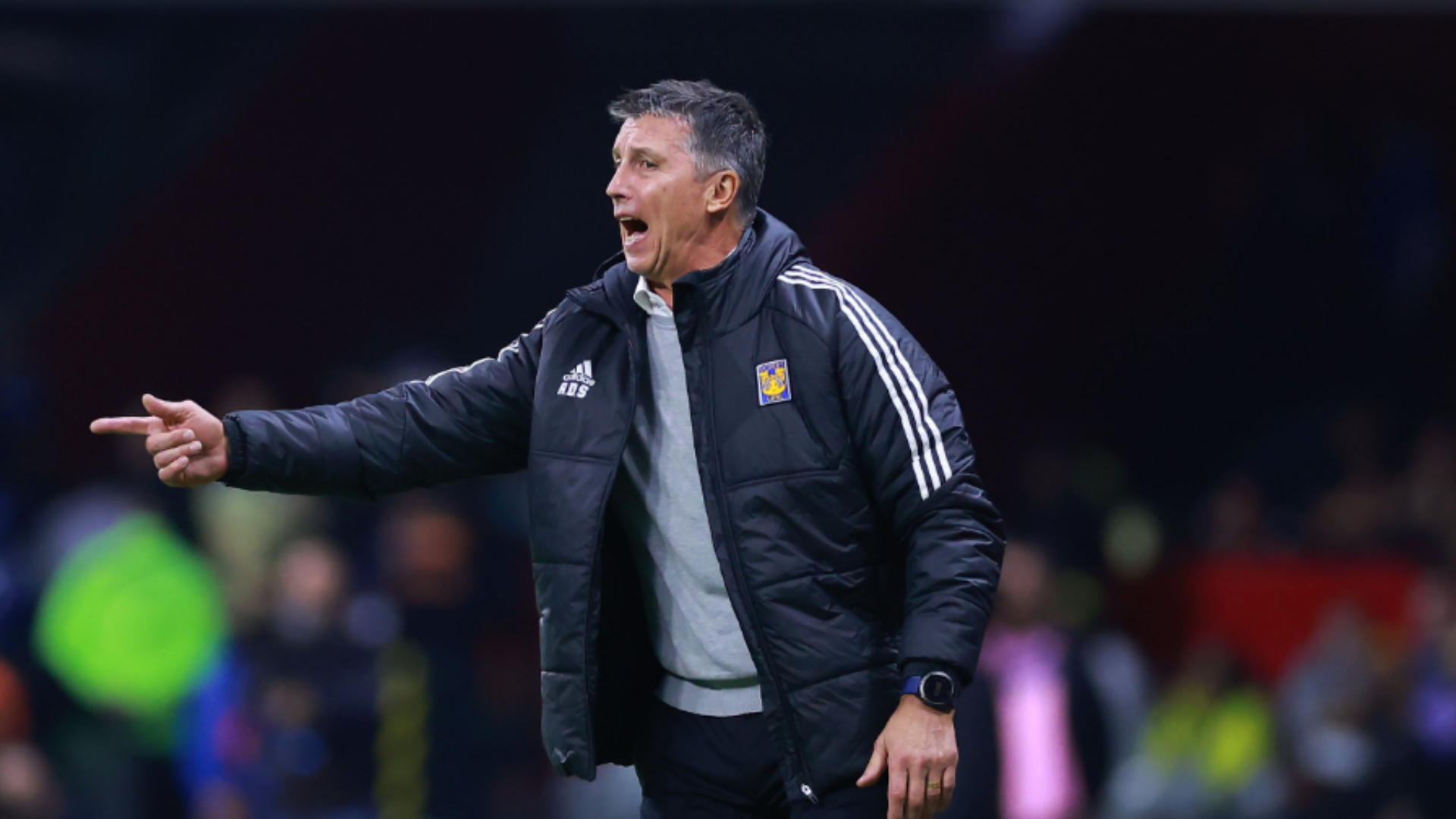 ¿Qué entrenadores de la Liga MX han sido despedidos por su ...